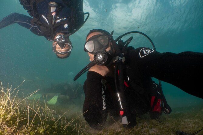 Scuba Tour for Certified Divers in San Juan - What To Expect During Your Dive