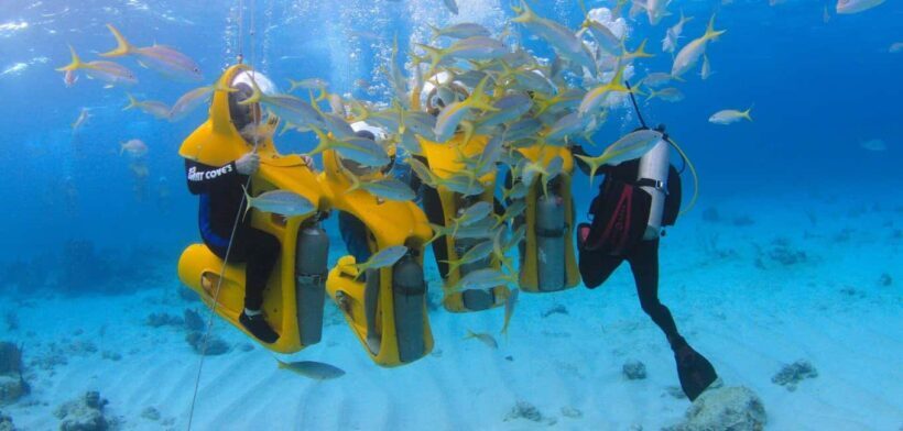 Scubadoo Punta Cana Diving Adventure - Authentic Marine Encounters: What Travelers Say