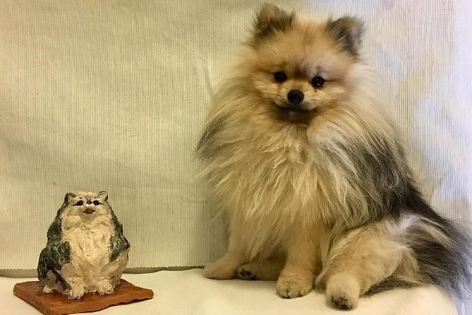 Sculpt to Florentine Pet - Introduction