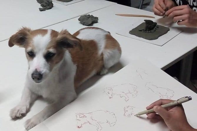 Sculpt to Florentine Pet - What the Experience Entails: A Closer Look