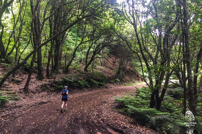 Sea 2 Mountain Running Tour (Moderate-Hard) - The Value and Practicality