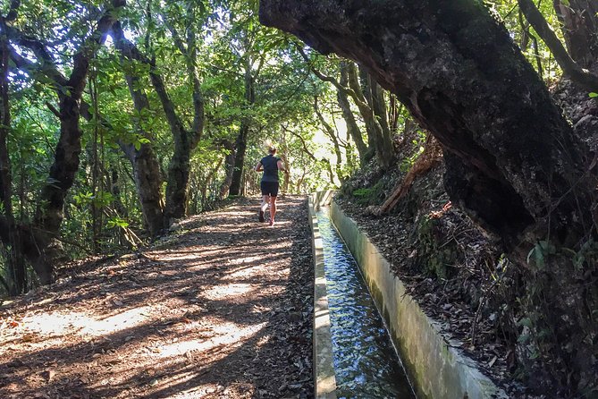 Sea 2 Mountain Running Tour (Moderate-Hard) - Important Details