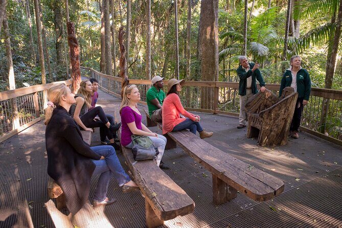 Sea Acres Rainforest Boardwalk Tour - What to Expect from the Sea Acres Rainforest Boardwalk Tour