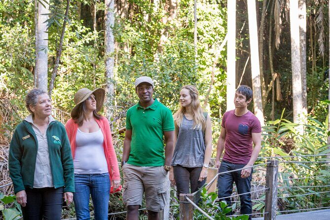 Sea Acres Rainforest Boardwalk Tour - FAQ
