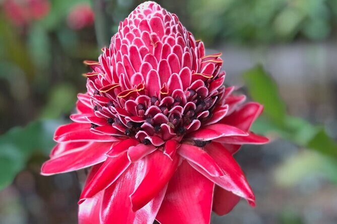 Sea and Land Tour from Marigot Bay to Soufriere - Final Thoughts: Is This Tour Right for You?