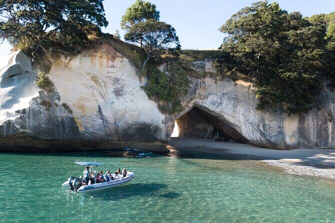 Sea Cave Adventures in Whitianga - Key Points