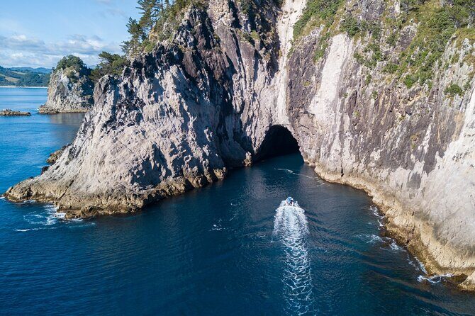 Sea Cave Adventures in Whitianga - The Experience: From Board to Splash