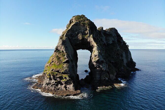 Sea Cave Adventures in Whitianga - Final Thoughts: Is It Worth It?