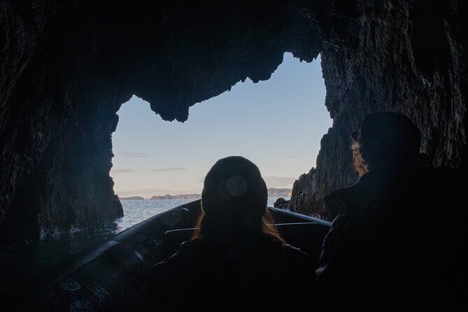 Sea Cave Adventures in Whitianga - Who Should Consider This Tour?