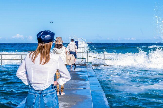 Sea Cliff Bridge, Kiama Blowhole, Beaches & Farmlands Small Group - The Value of a Small-Group Tour