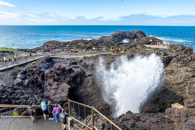 Sea Cliff Bridge Tours with Whale Watching and Wine Tasting - FAQ
