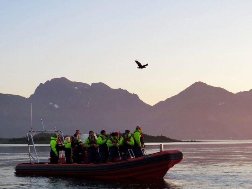 Sea Eagle/Nature Safari - Exploring the Sea Eagle/Nature Safari in Lofoten: A Deep Dive