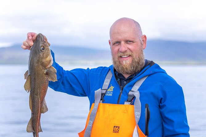 Sea Fishing Experience From Reykjavik - Fishing Equipment and Gear