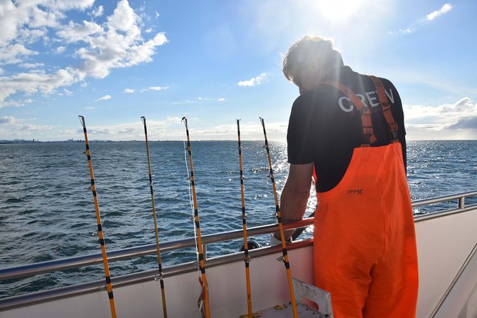 Sea Fishing Experience From Reykjavik - Accessibility and Transportation