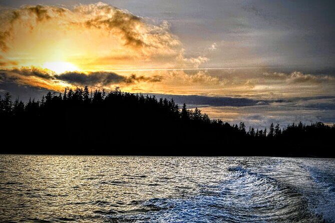 Sea it All -Private Sitka Wildlife LAND & SEA COMBO for 6 w/meal - A Closer Look at the "Sea it All" Experience