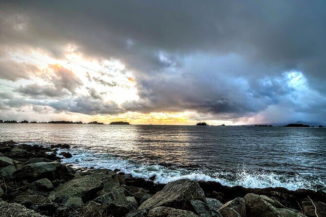 Sea it All -Private Sitka Wildlife LAND & SEA COMBO for 6 w/meal - Final Thoughts: Is This Tour Right for You?