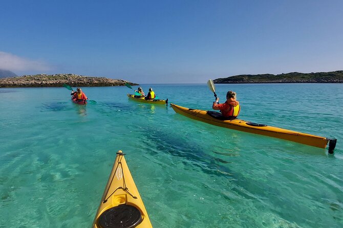 Sea Kayak Guided Tours on Skrova Island - Potential Wildlife Sightings