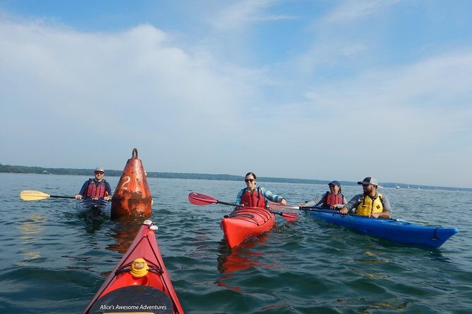 Sea Kayak to an Island Tour in Casco Bay - The Experience Amidst the Reviews