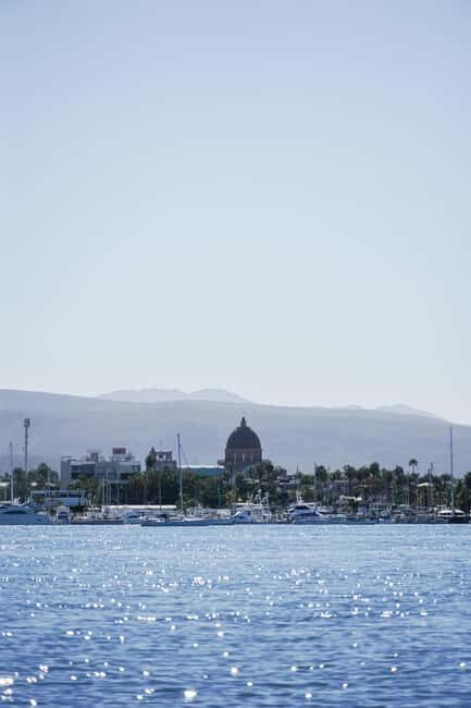 Sea Kayak Tour - Mangrove Safari - An In-Depth Look at the Baja Kayak Mangrove Safari