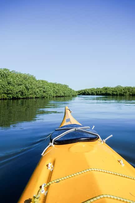 Sea Kayak Tour - Mangrove Safari - Frequently Asked Questions