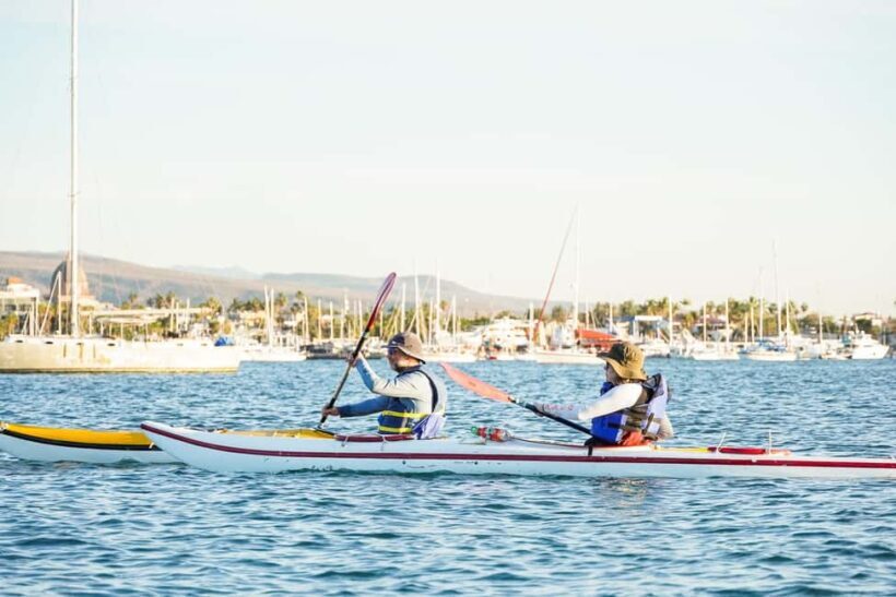 Sea Kayak Tour - Mangrove Safari - Final Thoughts