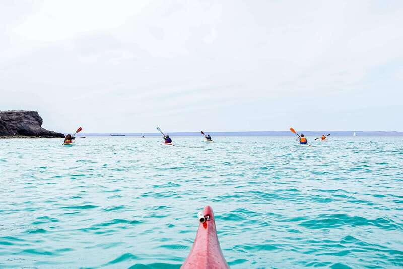 Sea Kayak Tour - Marine Safari - An In-Depth Look at the Baja California Sur Marine Safari