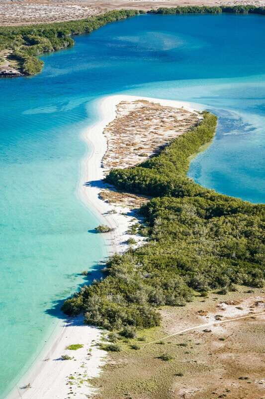 Sea Kayak Tour - Marine Safari - Final Thoughts: Who Will Love This Tour?