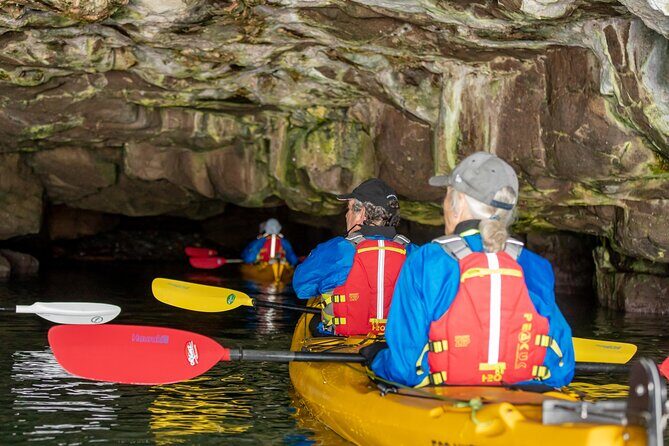 Sea Kayaking Christchurch, Lyttelton Harbour & Quail Island - An Overview of the Experience