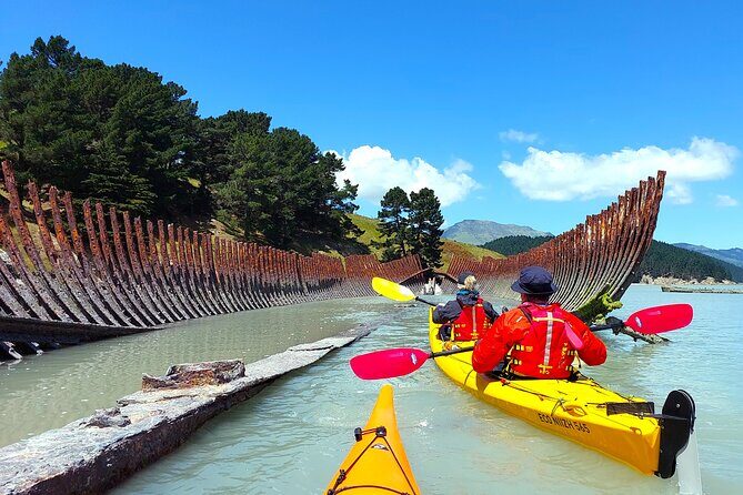 Sea Kayaking Christchurch, Lyttelton Harbour & Quail Island - Who Should Consider This Tour?