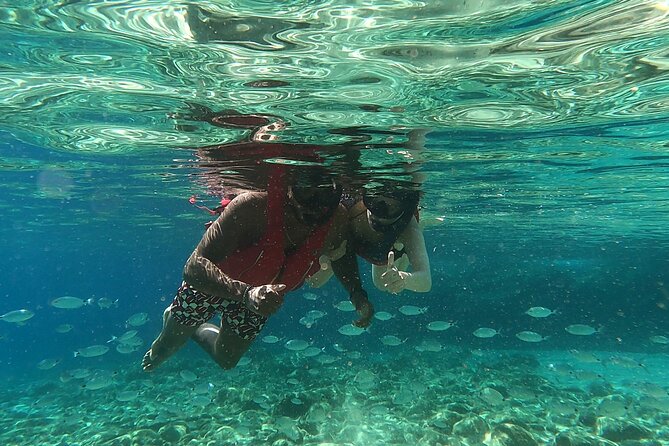 Sea Kayaking Mykonos Natural Beauty Beaches - Included Amenities