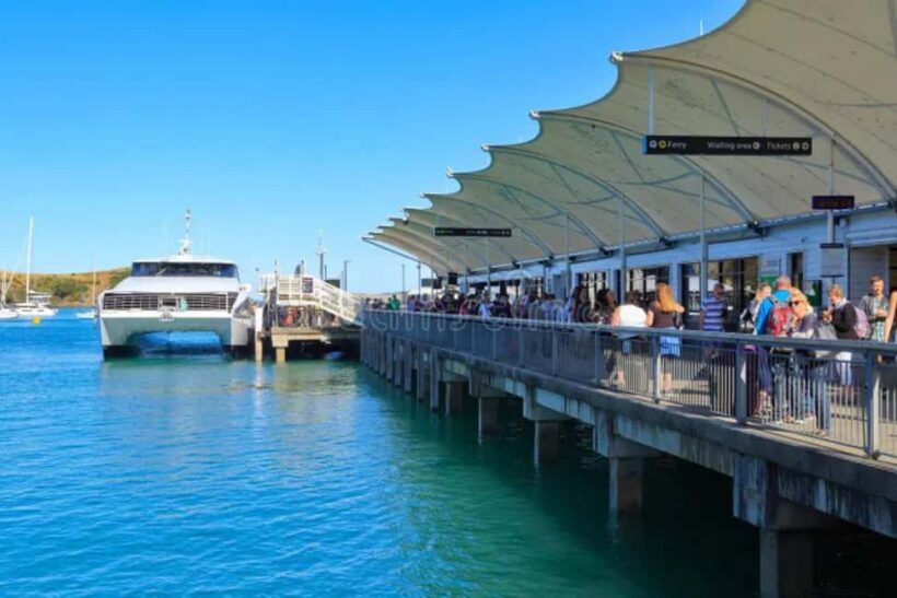 Sea, Land & Sky Premium Package - An Overview of the Waiheke Island Adventure