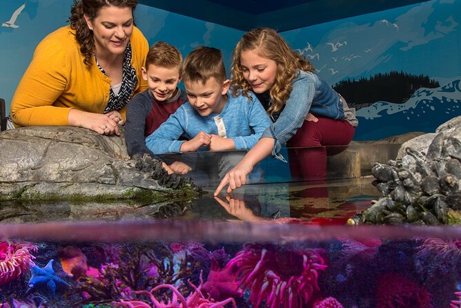 SEA LIFE Aquarium Grapevine Admission Ticket - Practical Tips for Visitors