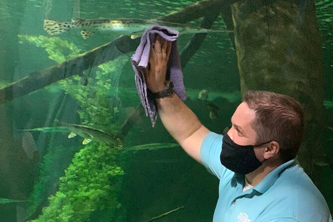 SEA LIFE Aquarium Minnesota Admission Ticket at Mall of America - Price and Value