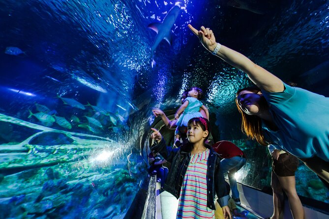 SEA LIFE Aquarium Minnesota Admission Ticket at Mall of America - Who Should Visit?