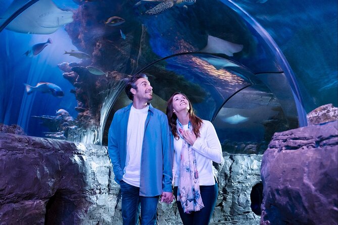 SEA LIFE Aquarium Minnesota Admission Ticket at Mall of America - The Sum Up