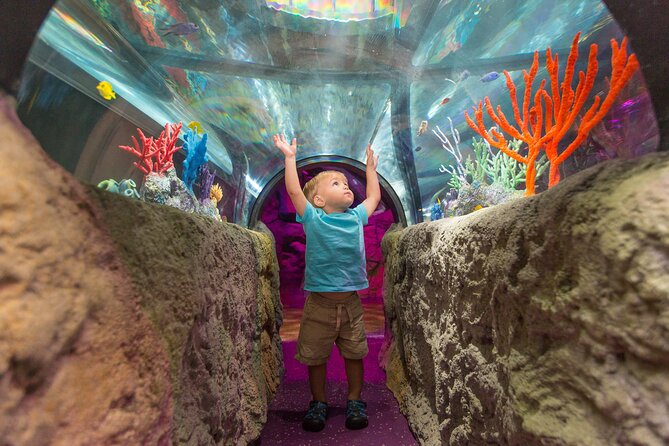 SEA LIFE Aquarium Minnesota Admission Ticket at Mall of America - Frequently Asked Questions