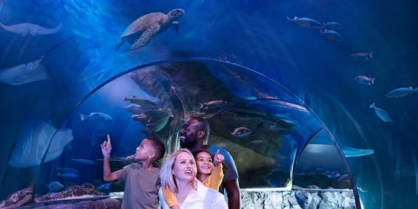 SEA LIFE Arizona Aquarium General Admission - Discovering the Underwater World