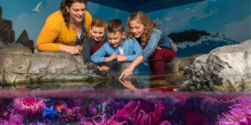 SEA LIFE Arizona Aquarium General Admission - Practical Details and Tips