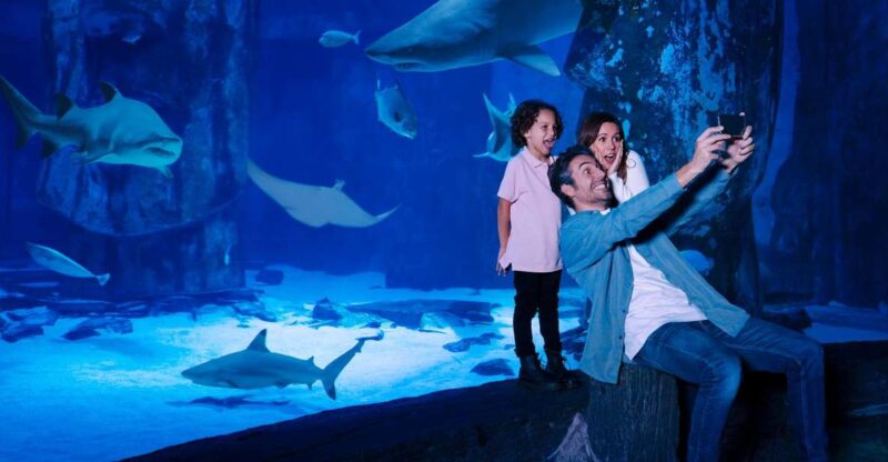 SEA LIFE Arizona Aquarium General Admission - The Interactive and Educational Highlights
