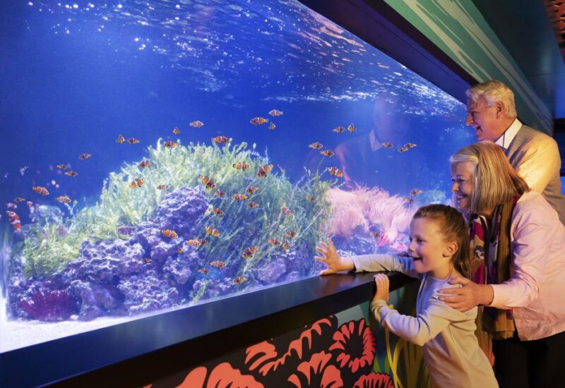 SEA LIFE Arizona Aquarium General Admission - Practical Details: What to Expect and How to Prepare