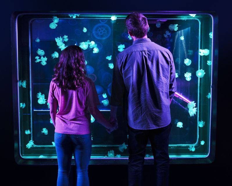 SEA LIFE Arizona Aquarium General Admission - Accessibility and Health Protocols