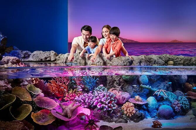 Sea Life Bangkok & Madame Tussauds Ticket with Optional Transfers - Engaging Review of the Sea Life Bangkok & Madame Tussauds Ticket with Optional Transfers