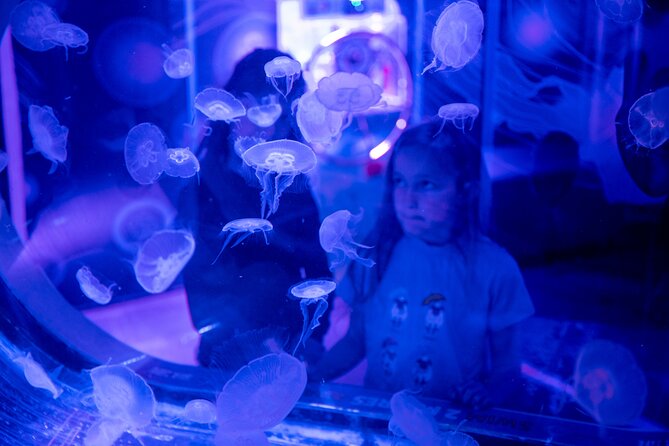 SEA LIFE Birmingham Admission Ticket - Visitor Experience and Reviews