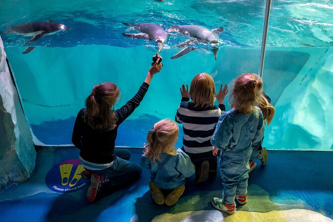 SEA LIFE Birmingham Admission Ticket - What to Expect During Your Visit