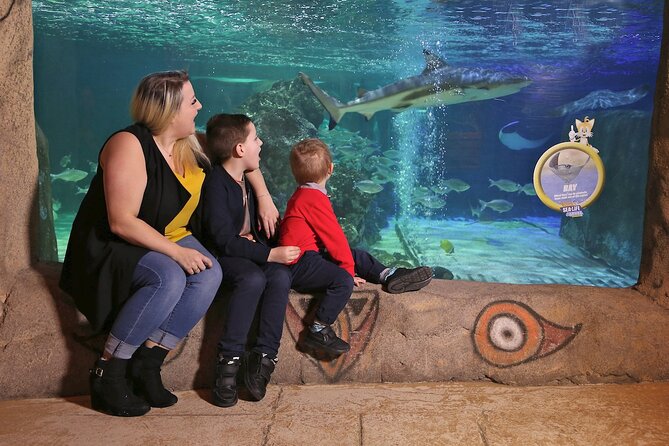 SEA LIFE Blackpool Admission Ticket - What to Expect at the Attraction