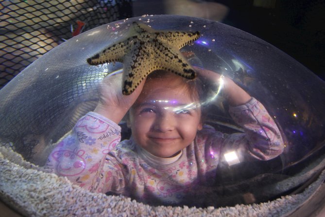 SEA LIFE Blackpool Admission Ticket - Visitor Reviews and Ratings