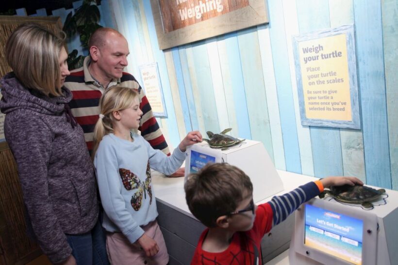 SEA LIFE Blackpool Entrance Ticket - Authentic Visitor Insights