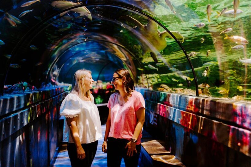 Sea Life Brighton Admission Ticket - What to Expect During Your Visit