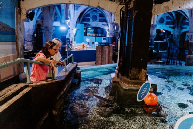 Sea Life Brighton Admission Ticket - The Experience for Different Visitors