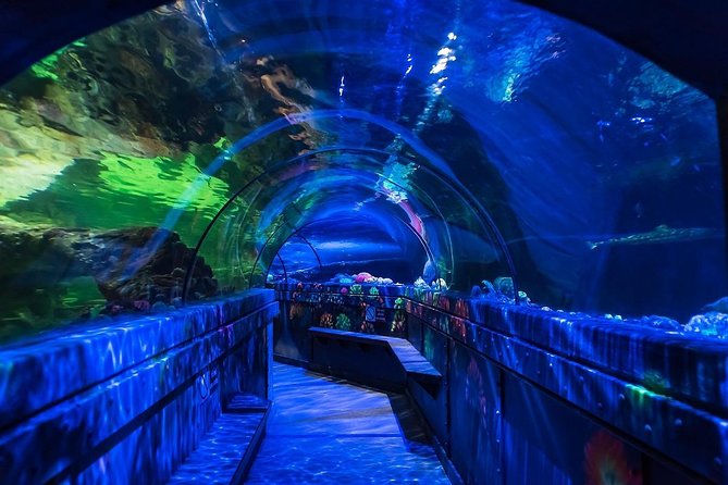 SEA LIFE Brighton Admission Ticket - Customer Reviews and Ratings